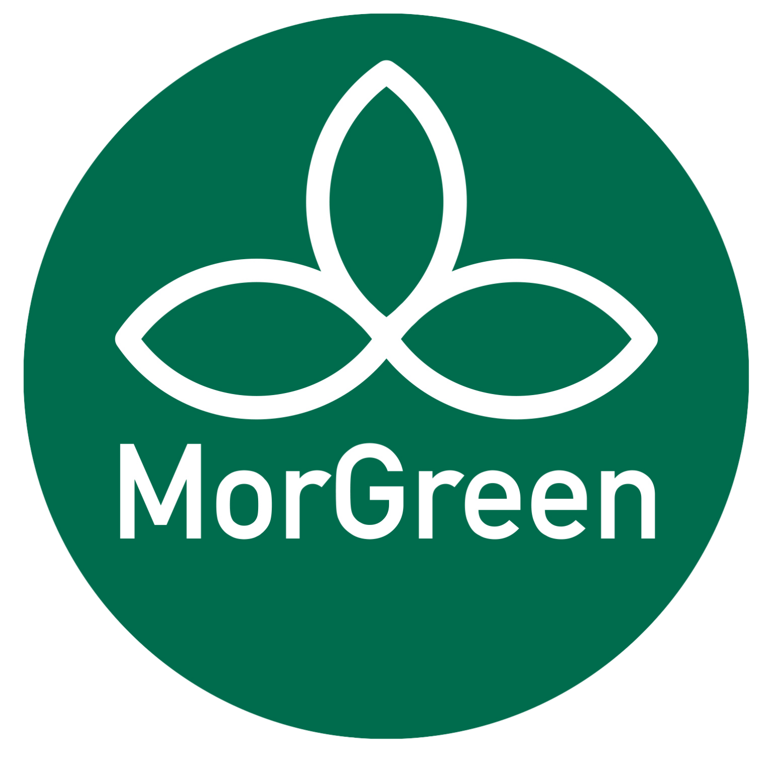 The Green Story - Morbern