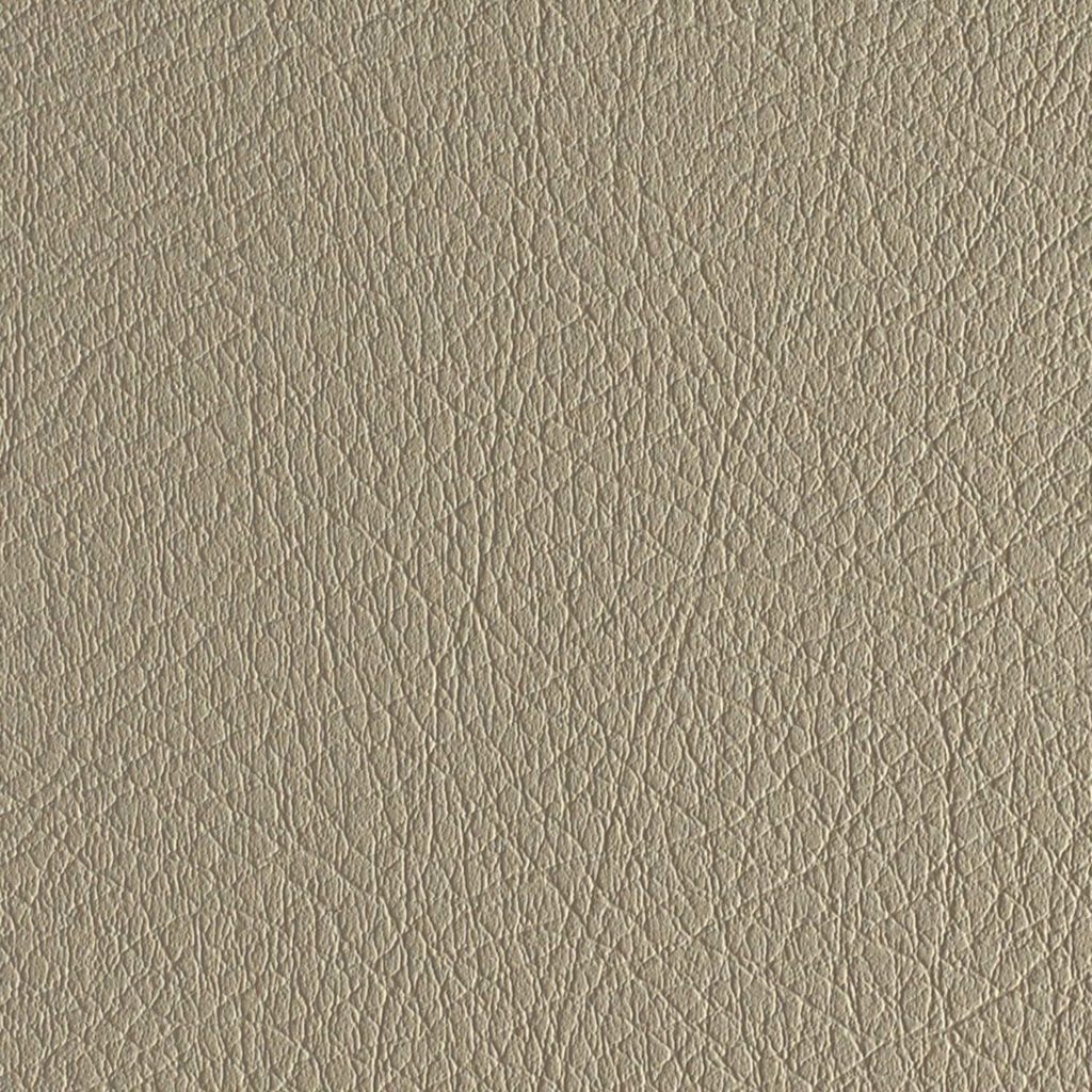 Voyager (NEW) - Morbern