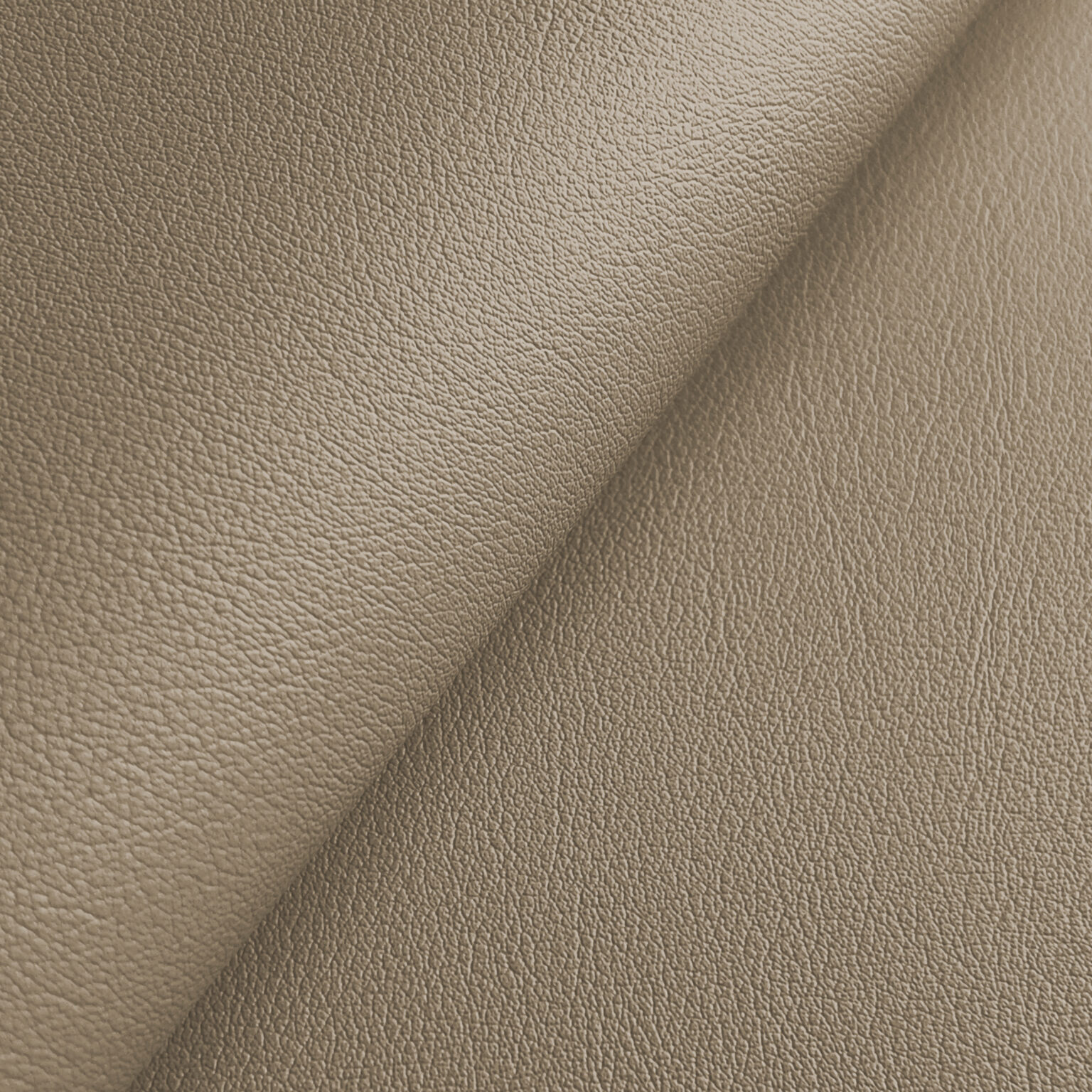 Freeway (NEW) - Morbern