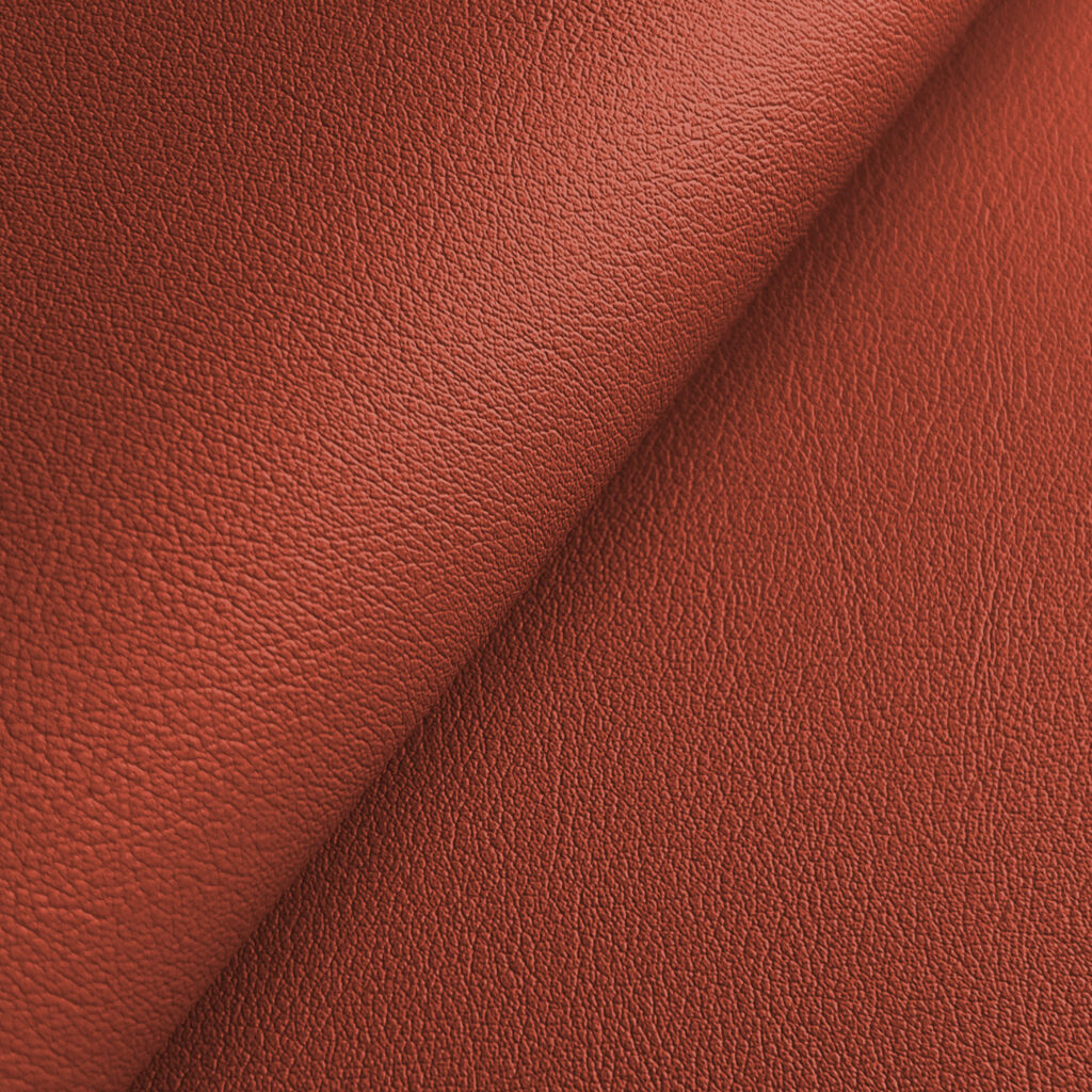 Freeway (NEW) - Morbern