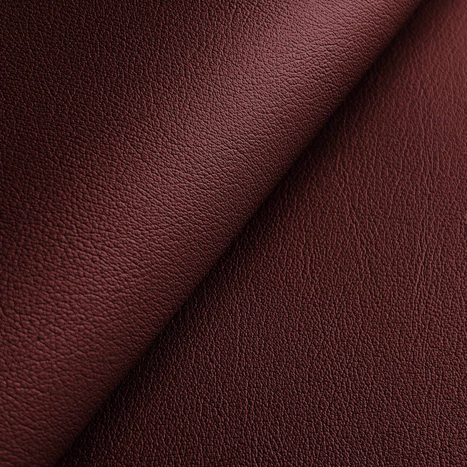 Freeway (NEW) - Morbern