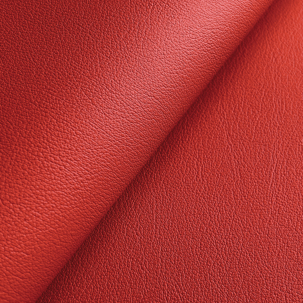 Freeway (NEW) - Morbern